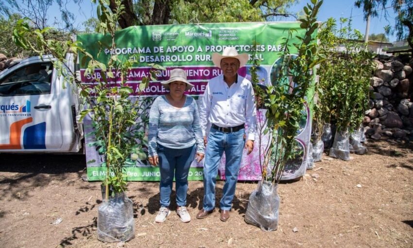 Entregan árboles Frutales A Productoras Agropecuarias De El Marqués